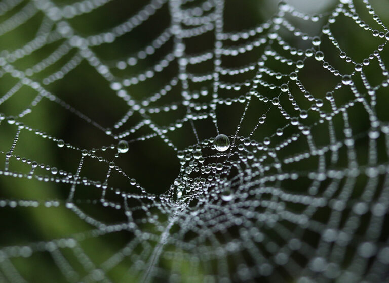 Writing A Tcp Proxy Using Netty And Clojure Infi 4592